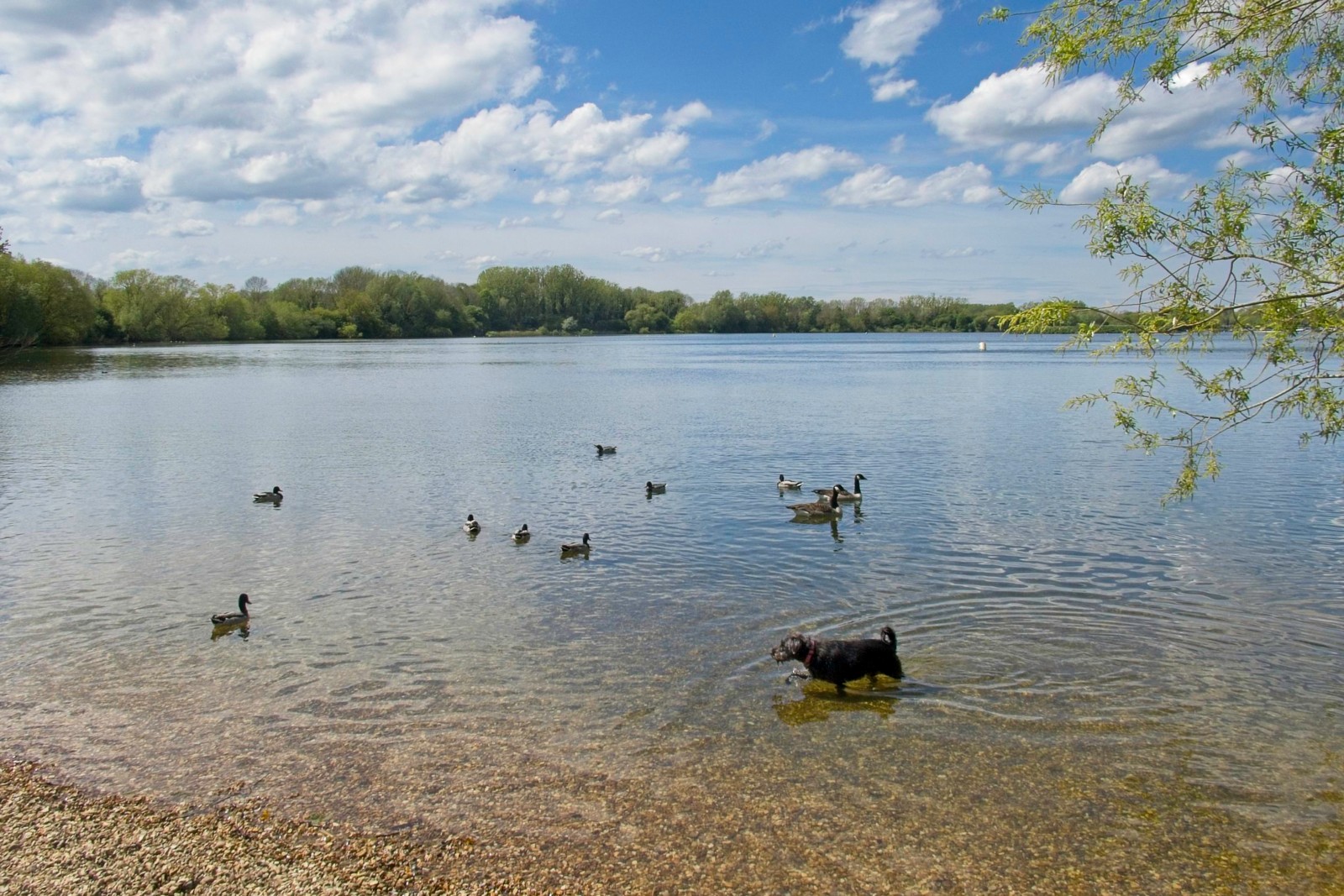 Priory Country Park for a Quick Walk
