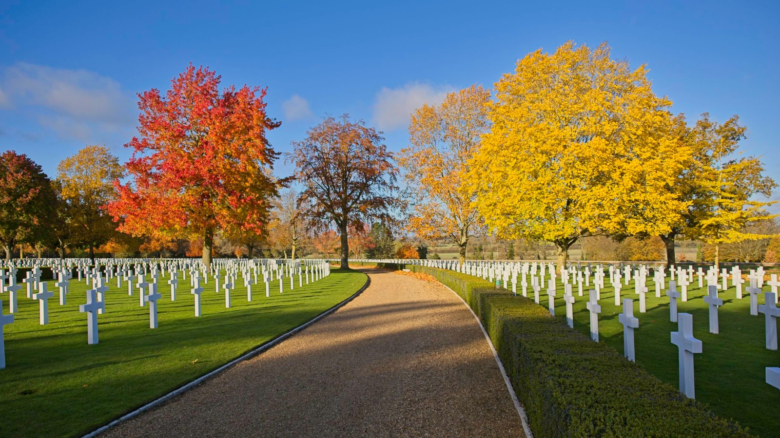 Cambridge in the Fall